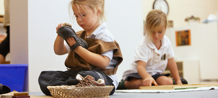 Montessori Education System - Wheatley School